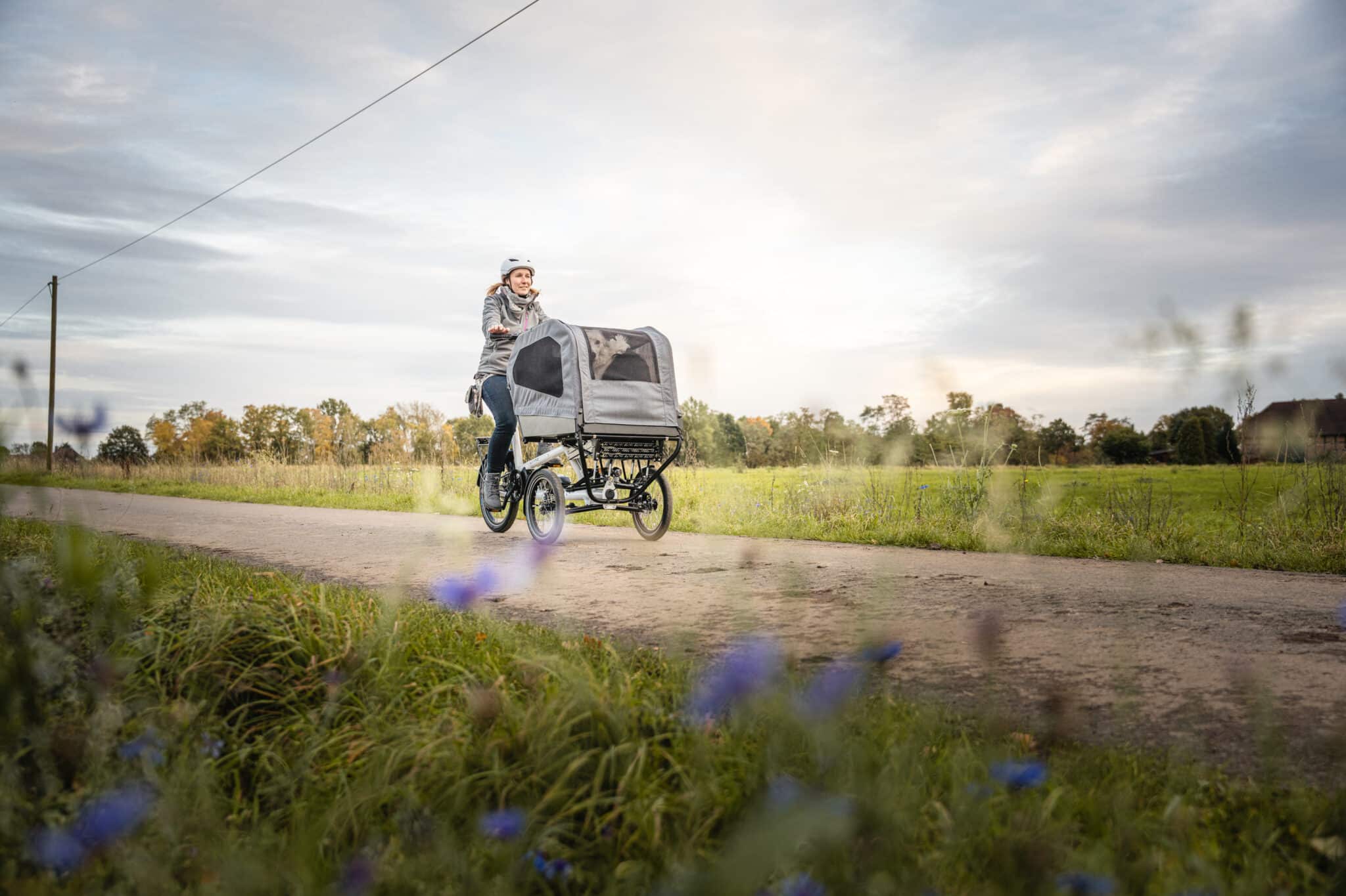 CHIKE E-Dog - Das Cargobike für Deinen Hund und Dich.