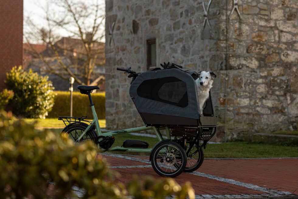 CHIKE E-Dog - Das Cargobike für Deinen Hund und Dich.