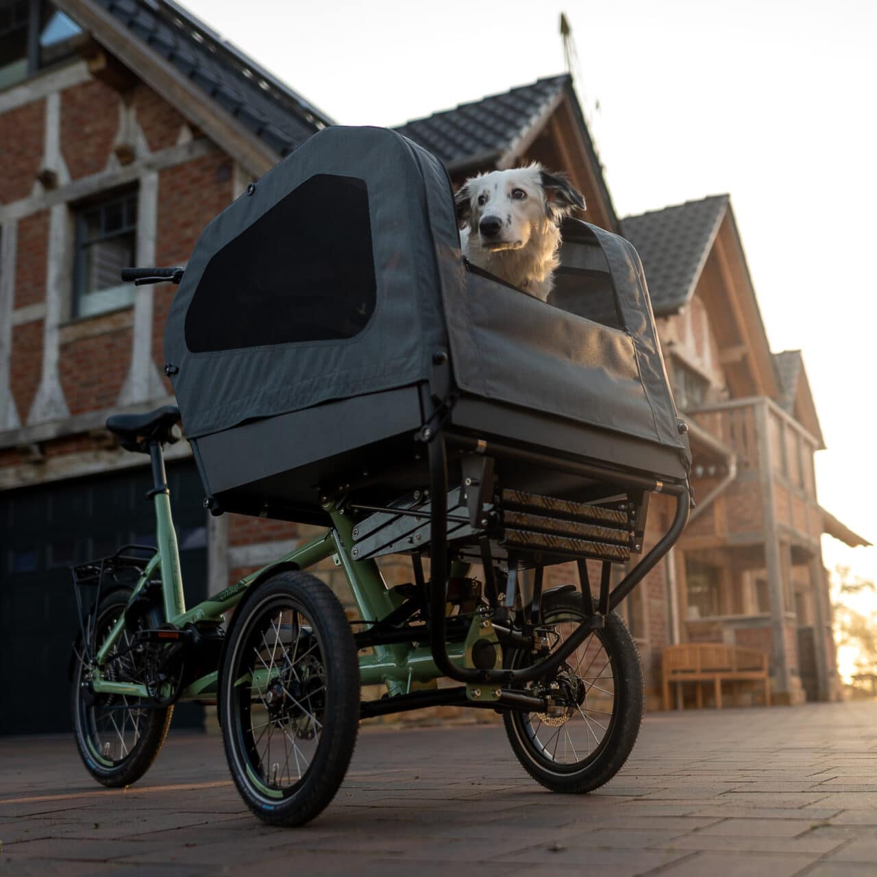 CHIKE E-Dog - Das Cargobike für Deinen Hund und Dich.